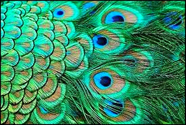 Good Life of Design: Contemplating Color Combinations!